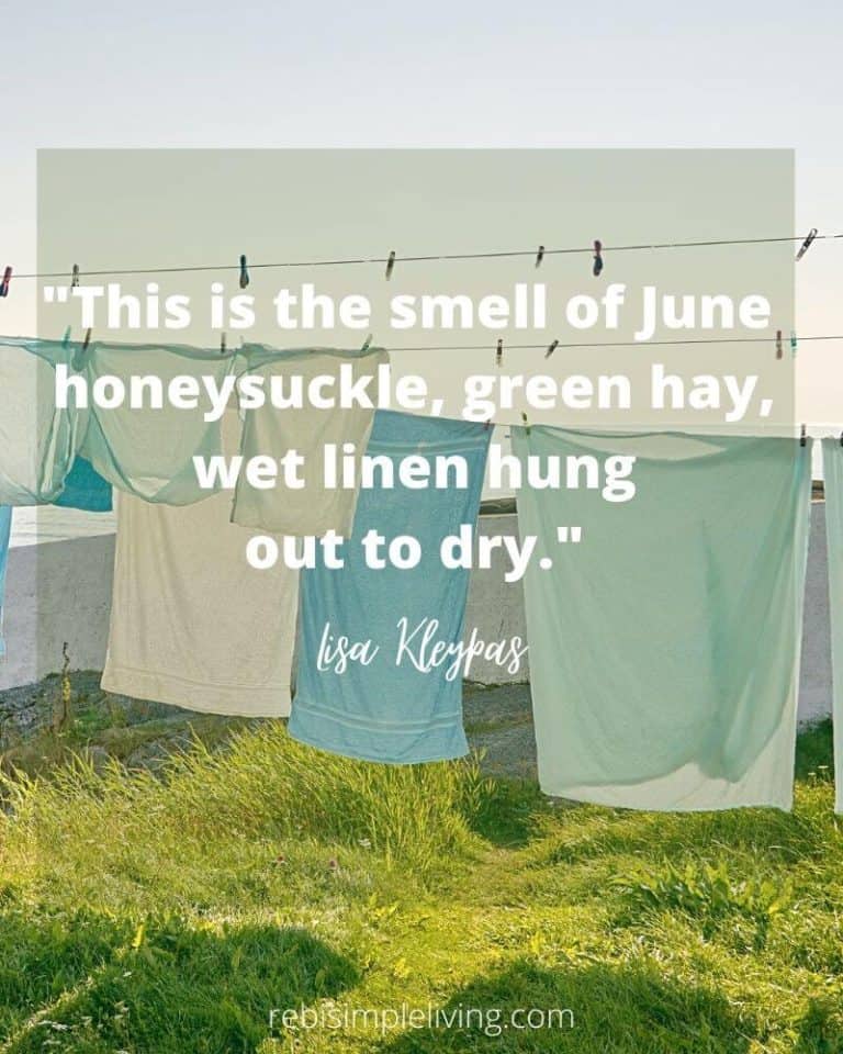 25 June Quotes for the Start of the Perfect Summer - Rebi Simple Living