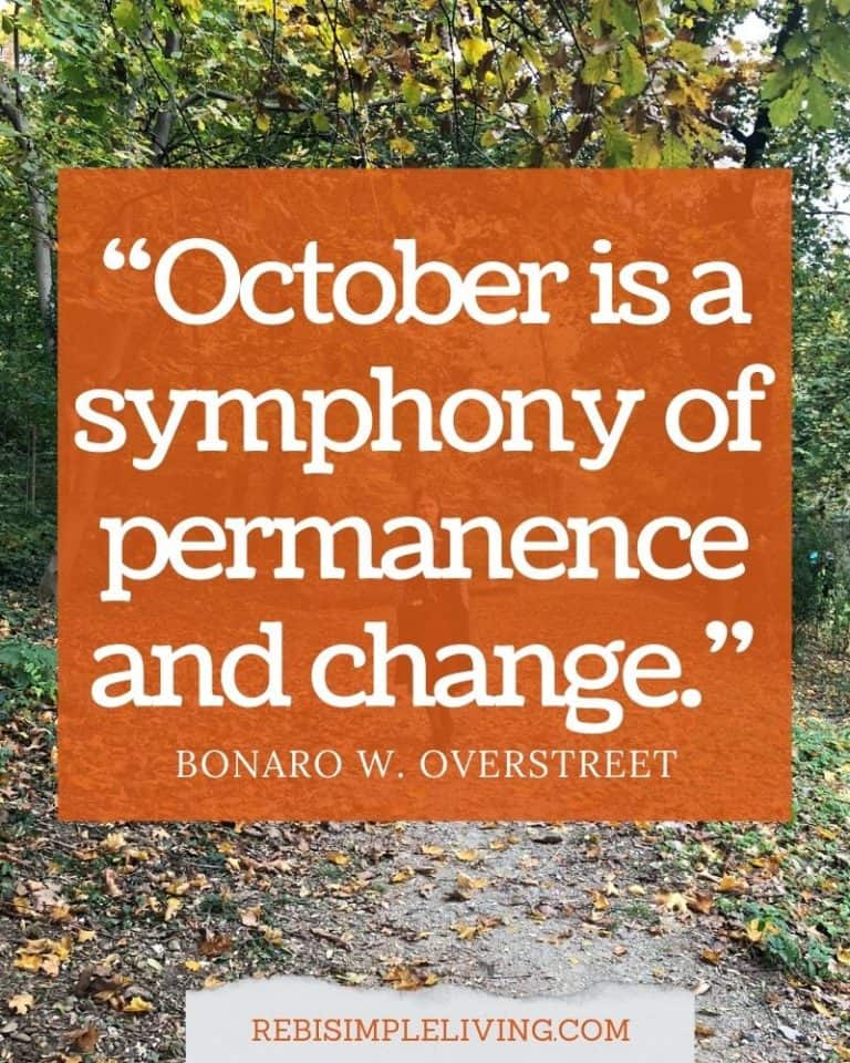 25 Beautiful October Quotes to Get You Excited for Fall